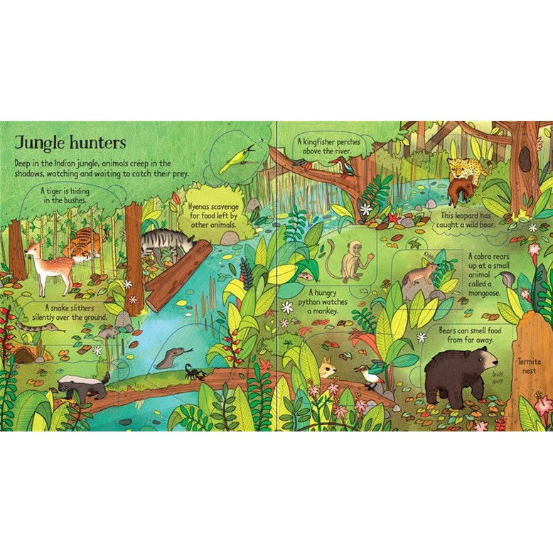 Usborne Lift the Flap : Look Inside the Jungle - Hardback