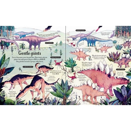 Usborne Big Picture Book Dinosaurs - Hardback