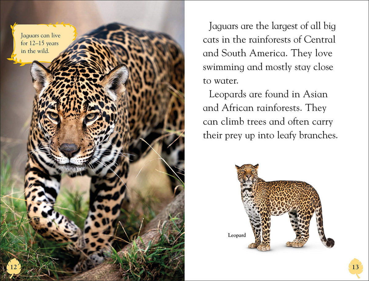 DK Reader Level 2: Rainforest Animals - Hardback