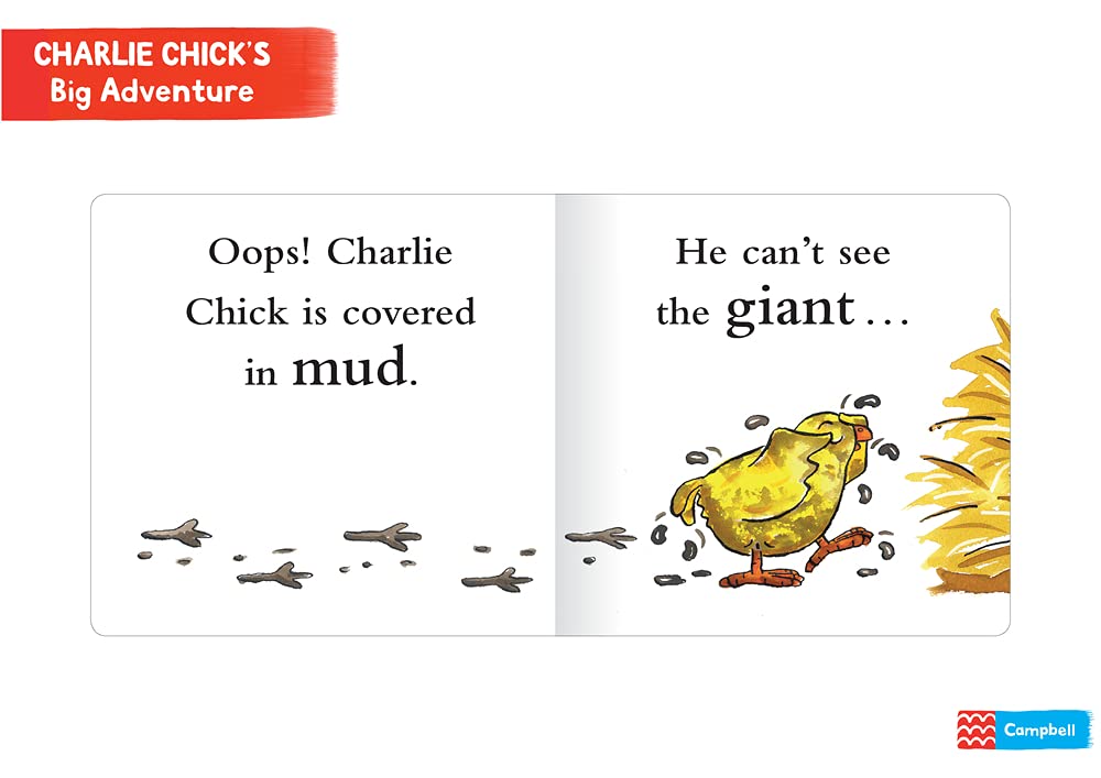 Charlie Chick's Big Adventure - Hardback