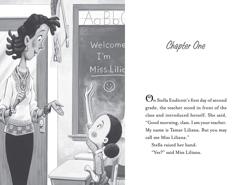 Stella Endicott and the Anything-Is-Possible Poem - Paperback