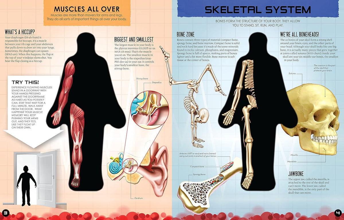 Inside Out Human Body : Volume 1 - Hardback