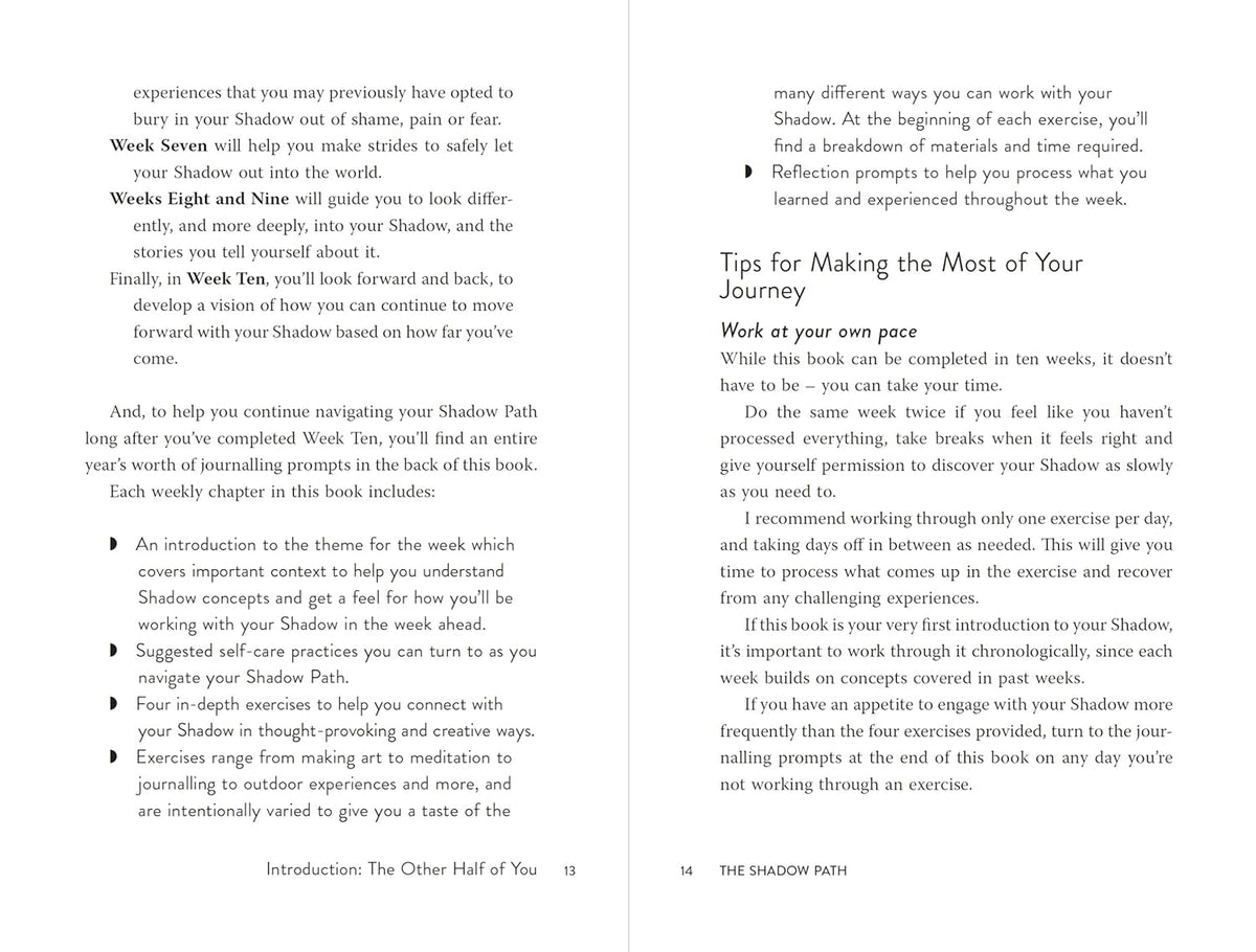 The Shadow Path - Paperback