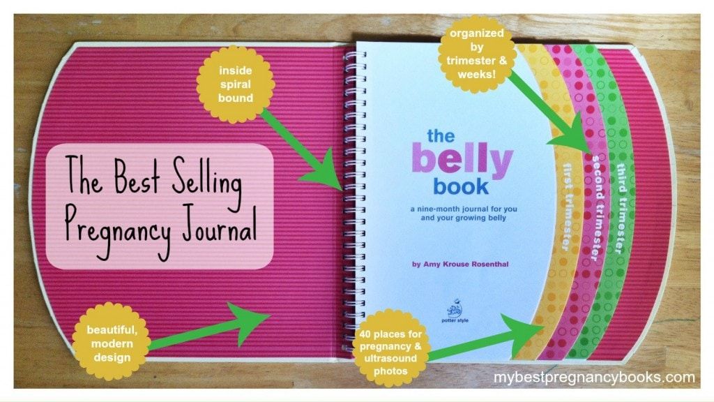 The Belly Book: A Nine-Month Journal for You and Your Growing Belly