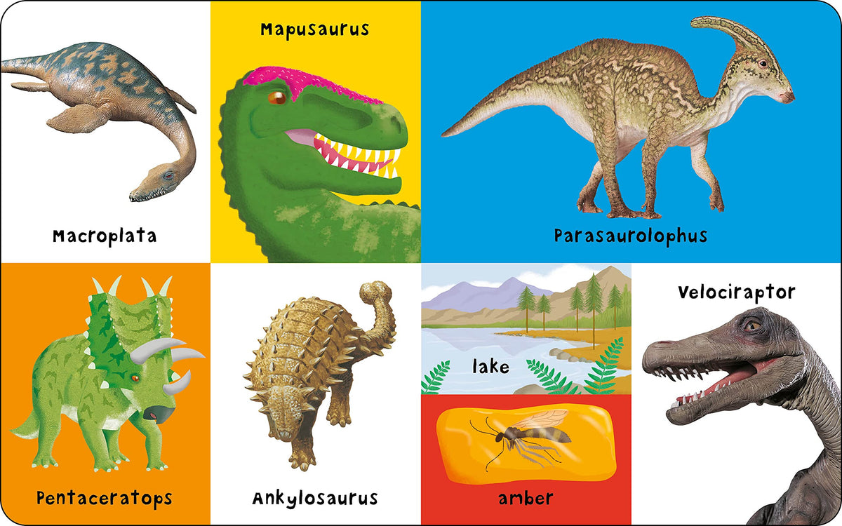 First 100: First 100 Dinosaurs - Board Book