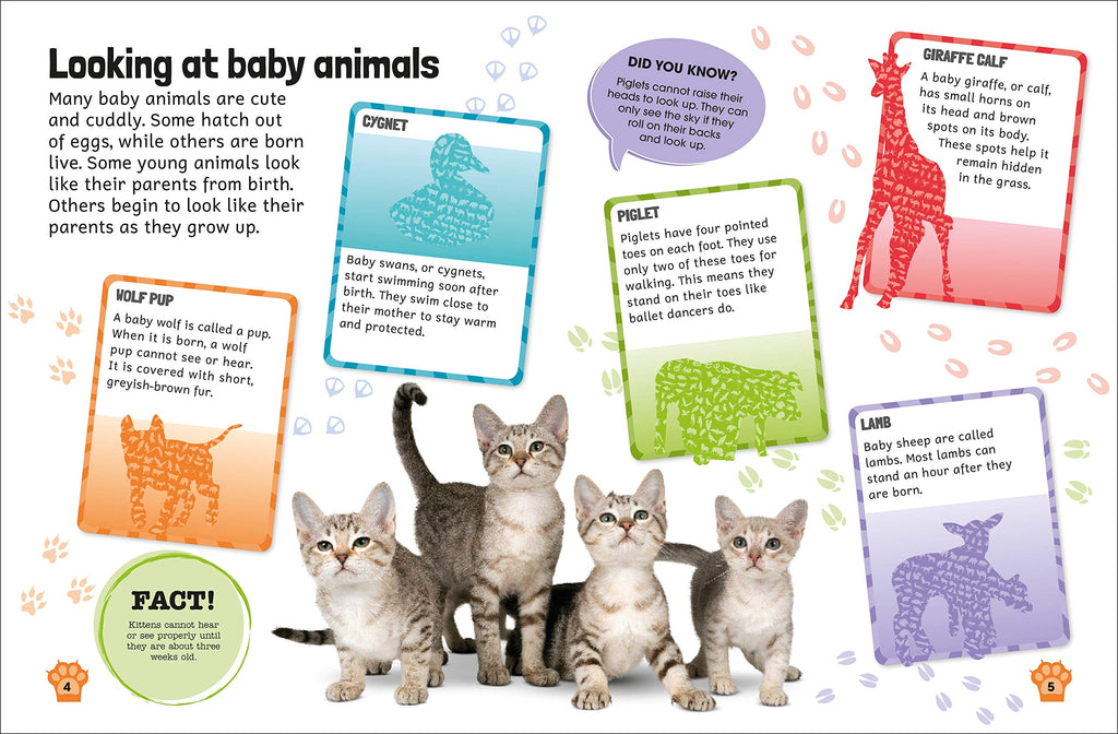 Sticker Encyclopedia Baby Animals - Paperback