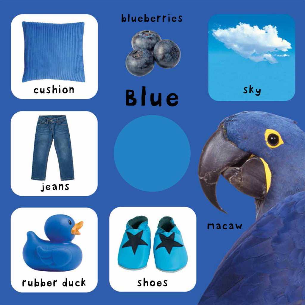 Play and Learn: Colors - Board Book