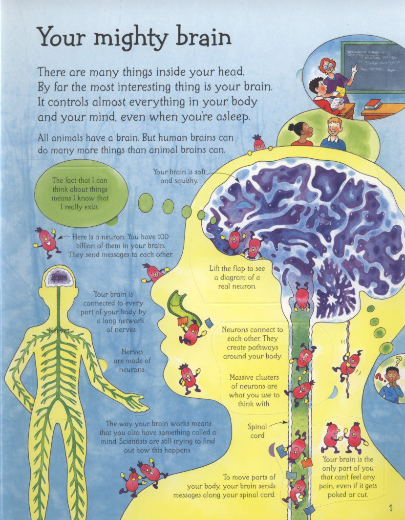 Usborne See Inside Your Head