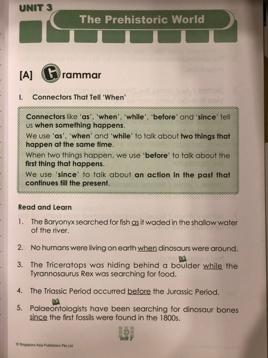 SAP Learning English Workbook Primary Level 4 - Paperback